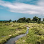 Labuan Bajo: Exploring Wae Rebo Village 2-Day Tour - FAQ