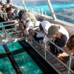 Lady Musgrave Day Trip from Bundaberg Including Snorkeling - Practical Considerations