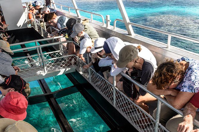 Lady Musgrave Day Trip from Bundaberg Including Snorkeling - Practical Considerations