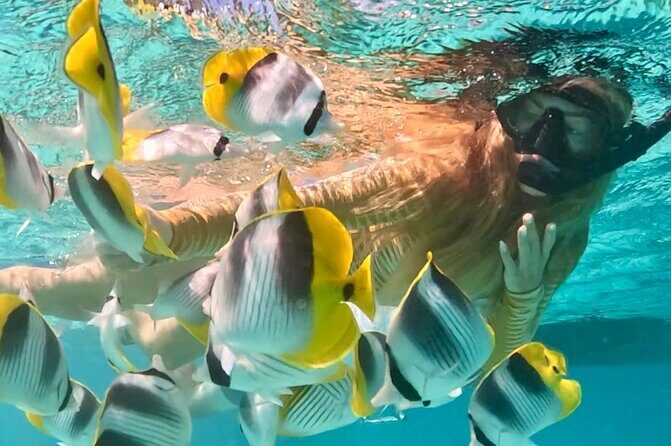 Lagoon and Marine Wildlife Tour in Moorea - Practical Details That Matter