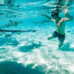 Lagoon and Wildlife Discovery on a Private Boat in Moorea - The Sum Up