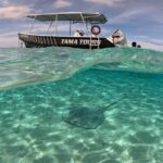 Lagoon Exploration and Snorkeling in Moorea - What We Loved & What to Keep in Mind