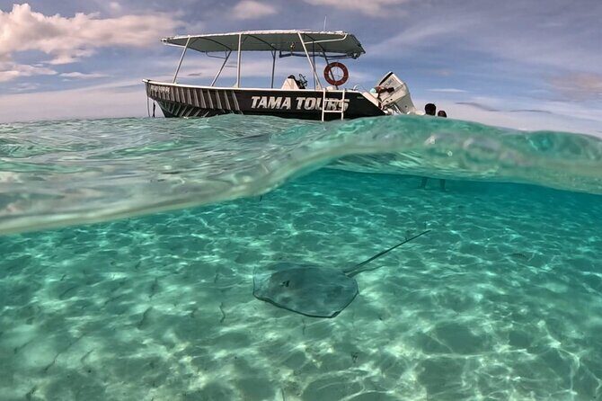 Lagoon Exploration and Snorkeling in Moorea - What We Loved & What to Keep in Mind