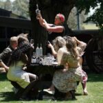 Laid back, Yarra Valley Wine Tour: Wine, Cider, Gin, Beer + Choc - Transportation and Practicalities