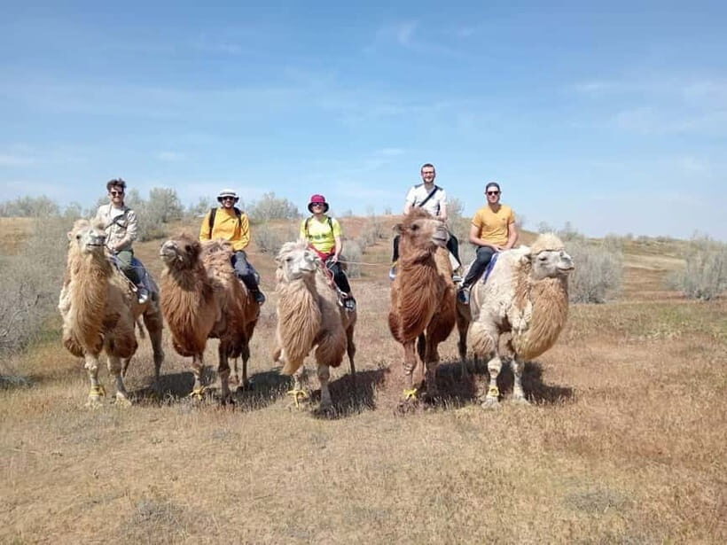 Lake Aydarkul: Kyzylkum Desert with Camel Ride & Taste Milk - Why This Tour Is Worth It