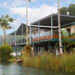 Lake Barrine Boat Cruise  Discover Queenslands Hidden Gem - Authenticity and Value