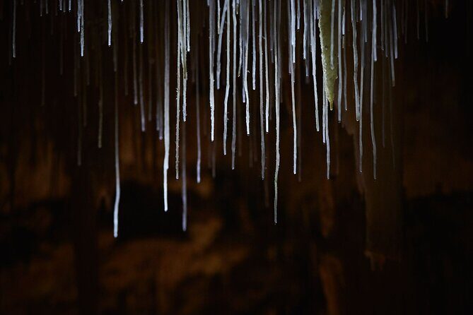 Lake Cave Fully Guided Tour - Authentic Experiences and Authenticity