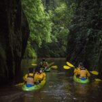 Lake Karapiro: Evening Kayak Glowworm Tour - Itinerary Breakdown: What You Can Expect