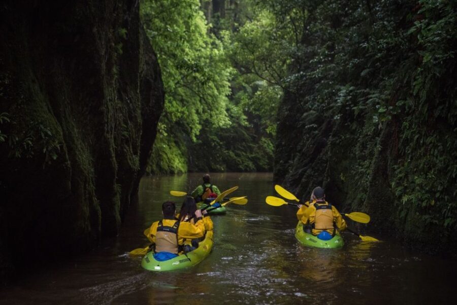 Lake Karapiro: Evening Kayak Glowworm Tour - Itinerary Breakdown: What You Can Expect