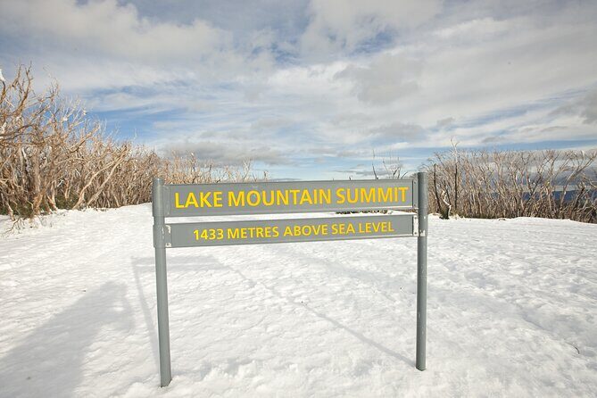 Lake Mountain Snow play and Steavenson Falls from Melburne - Analyzing the Value and Experience