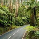 Lake Mountain Snow Trip including Yarra Valley Chocolaterie from Melbourne - The Value of the Tour