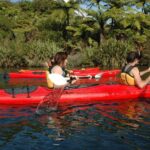 Lake Rotoiti Guided Hot Pools Kayak Trip - The Paddling Experience: Scenic, Calm, and Educational