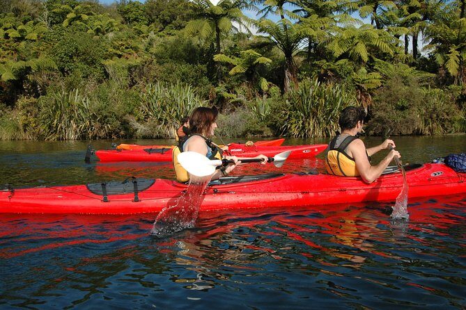 Lake Rotoiti Guided Hot Pools Kayak Trip - The Paddling Experience: Scenic, Calm, and Educational
