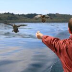 Lake Taupo: 1.5-Hour Mori Rock Carvings Cruise - Who Will Love This Tour?