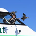 Lake Taupo: Maori Rock Carvings 10.30 AM 1.5-Hour Cruise - Why This Tour Offers Good Value