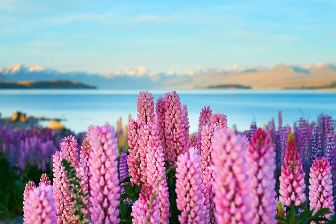 Lake Tekapo Private Day Trip from Queenstown - The Scenic Journey Begins: From Queenstown to the Mackenzie