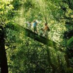 Lamington National Park, O'Reilly's & Vineyard Tour - The Mountain View and Scenic Vistas