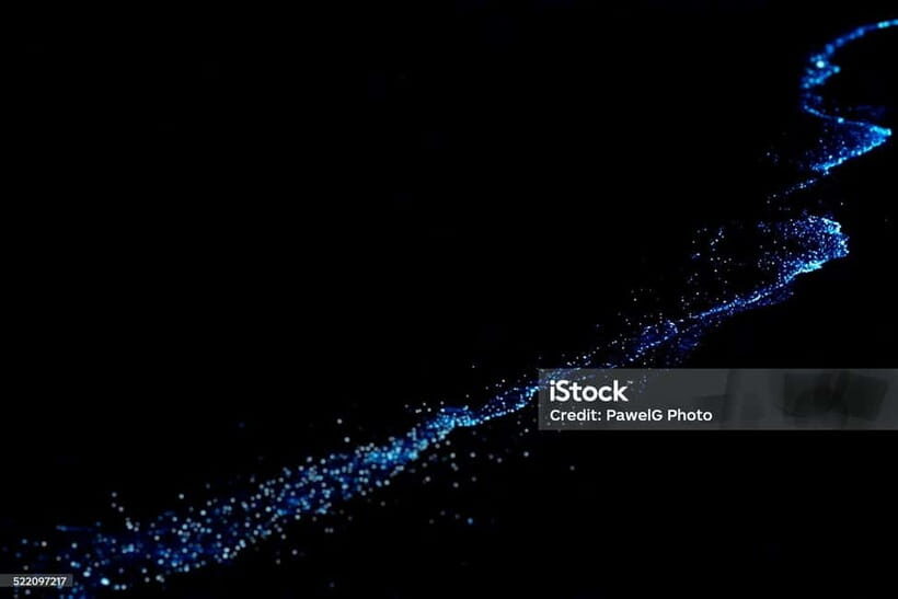 Lan Ha Bay: Night Kayaking to See Bioluminescent Plankton - The Practical Side: What’s Included and What to Know