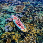 Lan Ha Bay Sunset Cruise Tour With Bioluminescent Kayaking - What Makes This Tour Stand Out?