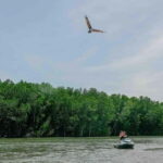 Langkawi: Jet Ski Tour UNESCO Kilim Geopark Free Video - Value and Practicalities