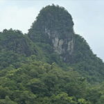 Langkawi: Kilim Geoforest River Cruise with Local Food Tour - The Highlights of the Wildlife and Flora