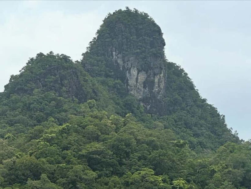 Langkawi: Kilim Geoforest River Cruise with Local Food Tour - The Highlights of the Wildlife and Flora