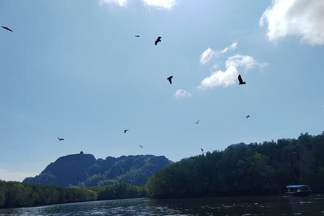 Langkawi Mangrove Boat Tour at Kilim Geoforest Park - What the Tour Includes and What to Consider