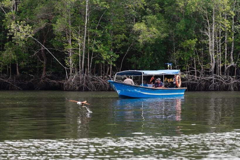 Langkawi Mangrove Group Boat Tour - Final Thoughts: Who Should Consider This Tour?
