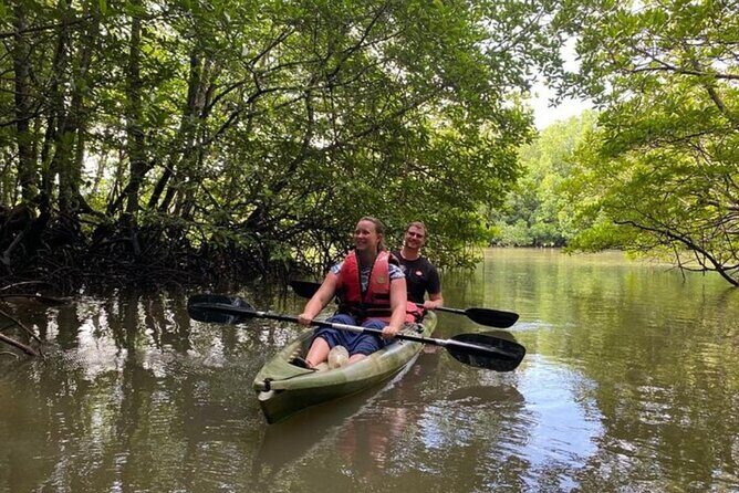 Langkawi Mangrove Kayaking Adventure With Nature Explorer - Who Should Consider This Tour?