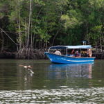 Langkawi: Mangrove River Cruise Sharing 3 Hours - Practical Details and Tips
