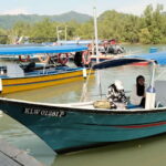 Langkawi: Private 2-Hour Mangrove Tour with Hotel Transfer - Who is This Tour Perfect For?