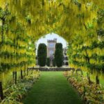 Larnach Castle and Gardens Admission Ticket - Practical Details and Tips
