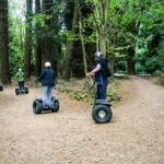 Launceston: Hollybank Forest Guided Segway Tour with Photos - The Experience of Riding a Segway in the Forest