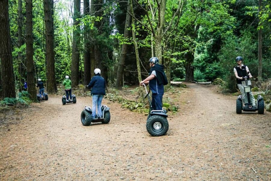 Launceston: Hollybank Forest Guided Segway Tour with Photos - The Experience of Riding a Segway in the Forest