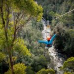 Launceston: Hollybank Forest Treetop Zip Lining with Guide - What’s Included and Important to Know