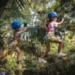 Launceston: Hollybank Junior Tree Ropes Course - Why the Hollybank Junior Tree Ropes Course Works for You