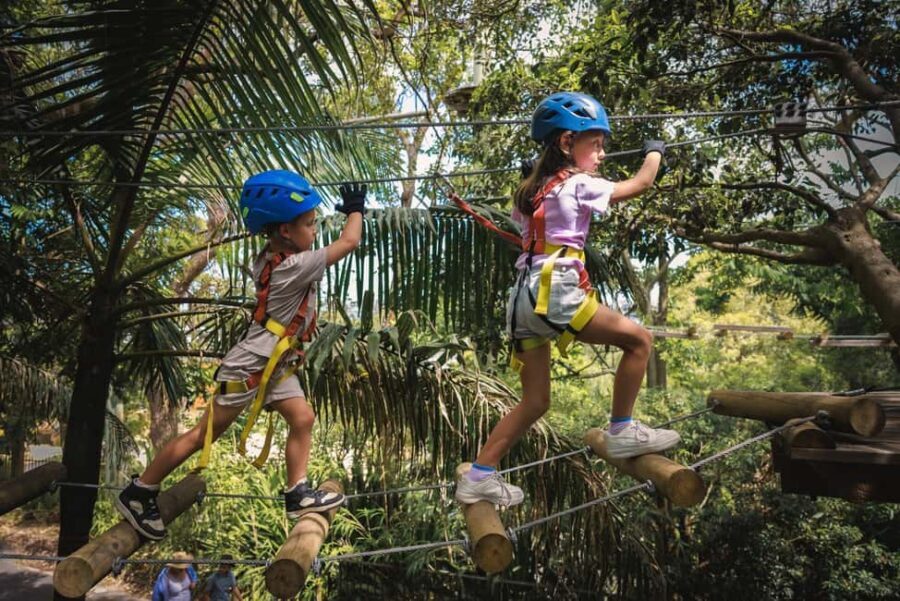 Launceston: Hollybank Junior Tree Ropes Course - Why the Hollybank Junior Tree Ropes Course Works for You
