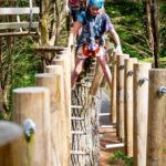 Launceston: Hollybank Tree Ropes Course - Final Thoughts: Is Hollybank Tree Ropes Course Worth It?