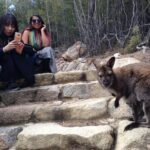 Launceston to Hobart via Wineglass Bay - Active one-way Day Tour - Who Will Love This Tour?