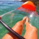 Leigh: Goat Island Clear Kayak Rental - The experience provider: Clearyak NZ