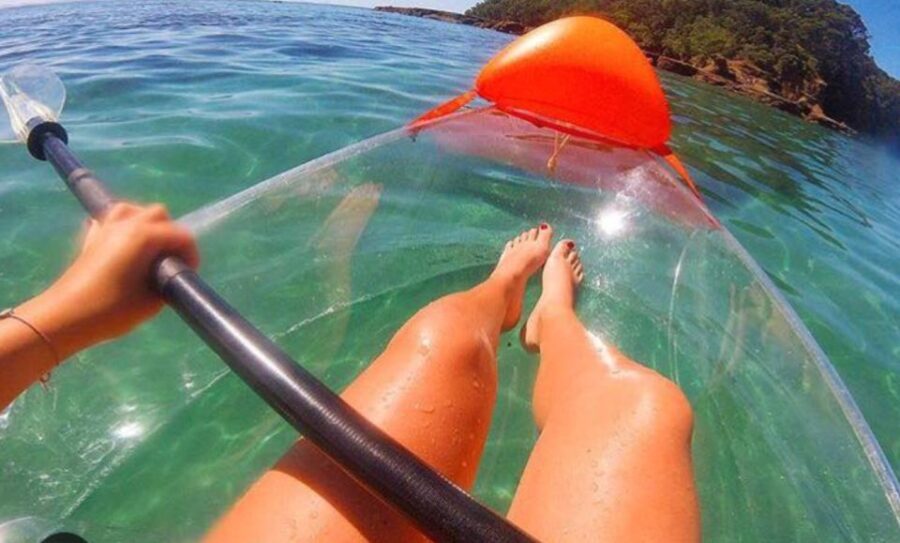 Leigh: Goat Island Clear Kayak Rental - The experience provider: Clearyak NZ