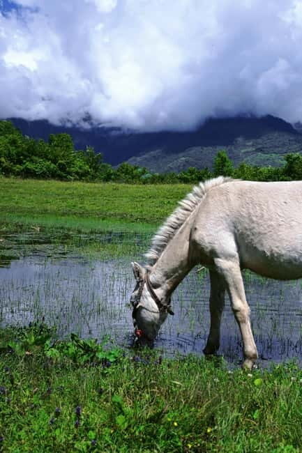 Lijiang: Yulong Snow Mountain, Blue Moon Valley & Show - Exploring Yulong Snow Mountain and Surroundings