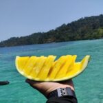 Lipe Private Snorkelinge Outside Zone By Long Tail Boat - The Practical Details: What You Need to Know