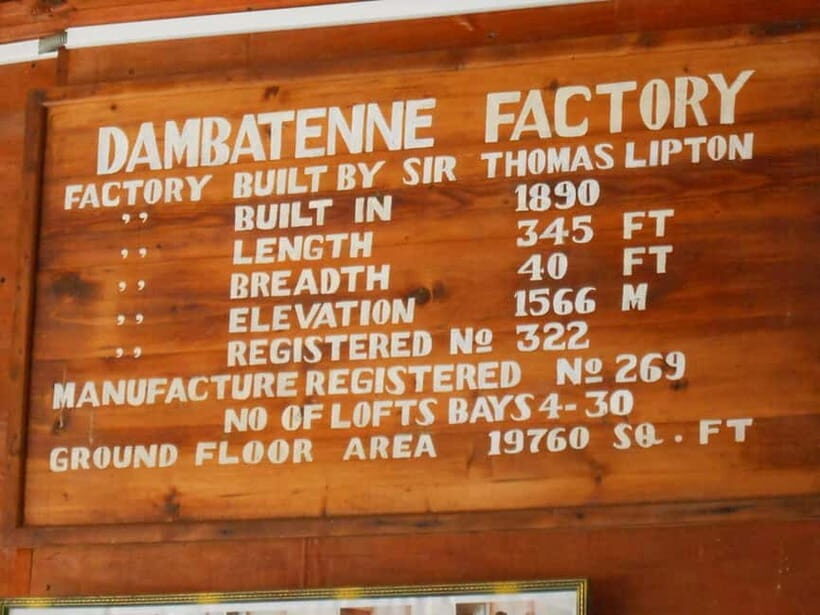 Lipton's Seat, Adisham Bungalow, Dambetenna Tea Factory Tour - Final Thoughts: Who Will Appreciate This Tour?