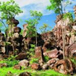 Litchfield 1 day Classic. Off road adventure. Private. VIP - Why This Tour Offers Great Value