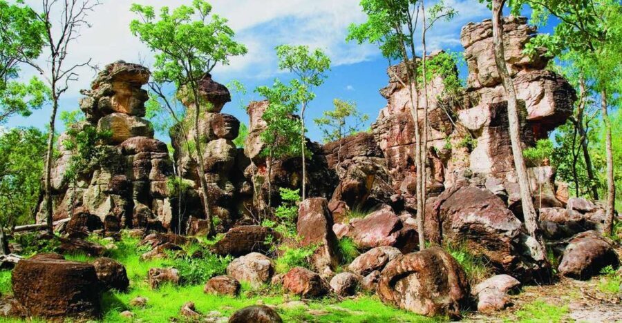 Litchfield 1 day Classic. Off road adventure. Private. VIP - Why This Tour Offers Great Value