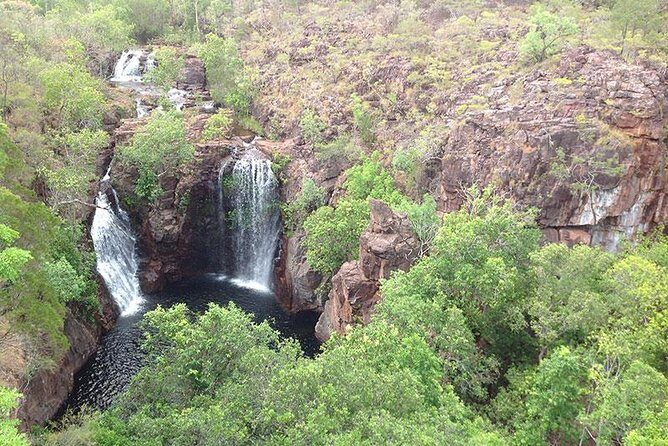 Litchfield National Park and Jumping Crocodile Cruise - The Iconic Magnetic and Cathedral Termite Mounds