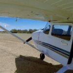 Litchfield Park & Daly River - Scenic Flight From Darwin - Who Would Love This Tour?