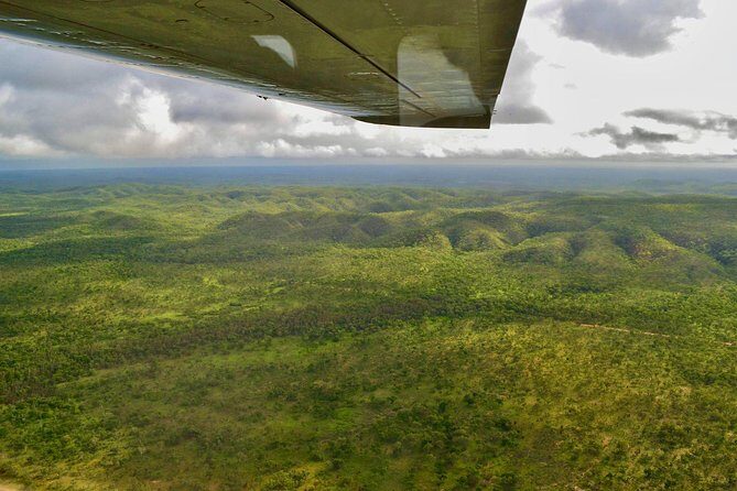 Litchfield Park Scenic Flight From Darwin - Why This Tour Is Worth Considering