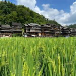 Liuzhou: 2-Day Dong Heritage Tour - Breaking Down the Itinerary: What to Expect